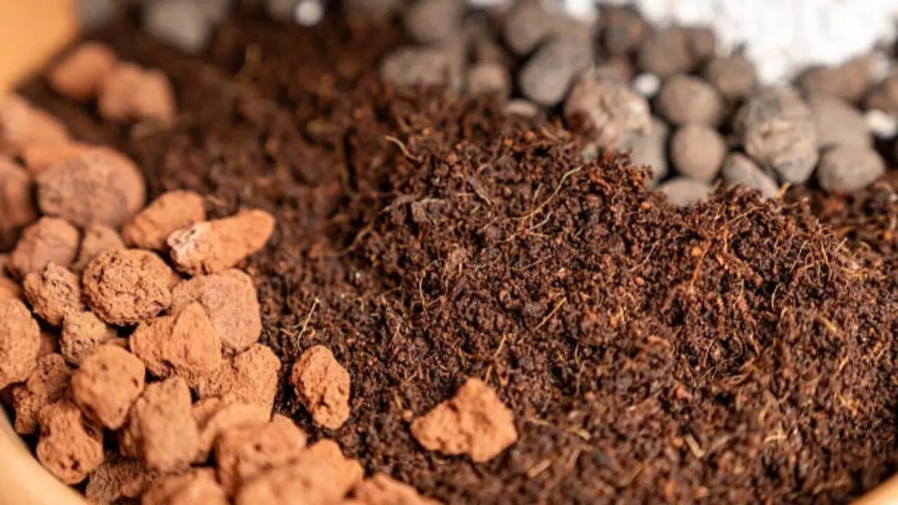 Compost vs potting soil vs topsoil: What sets them apart and when each ...