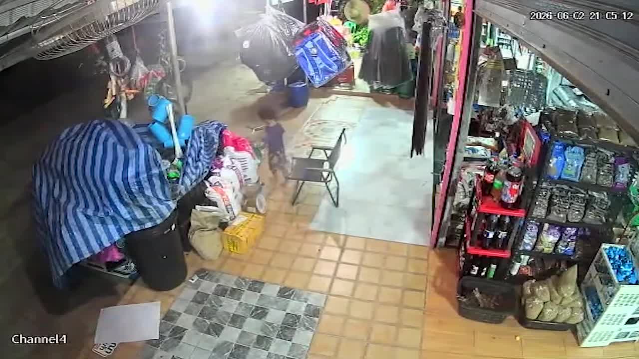 Wild elephant sparks panic when it raids village in Thailand