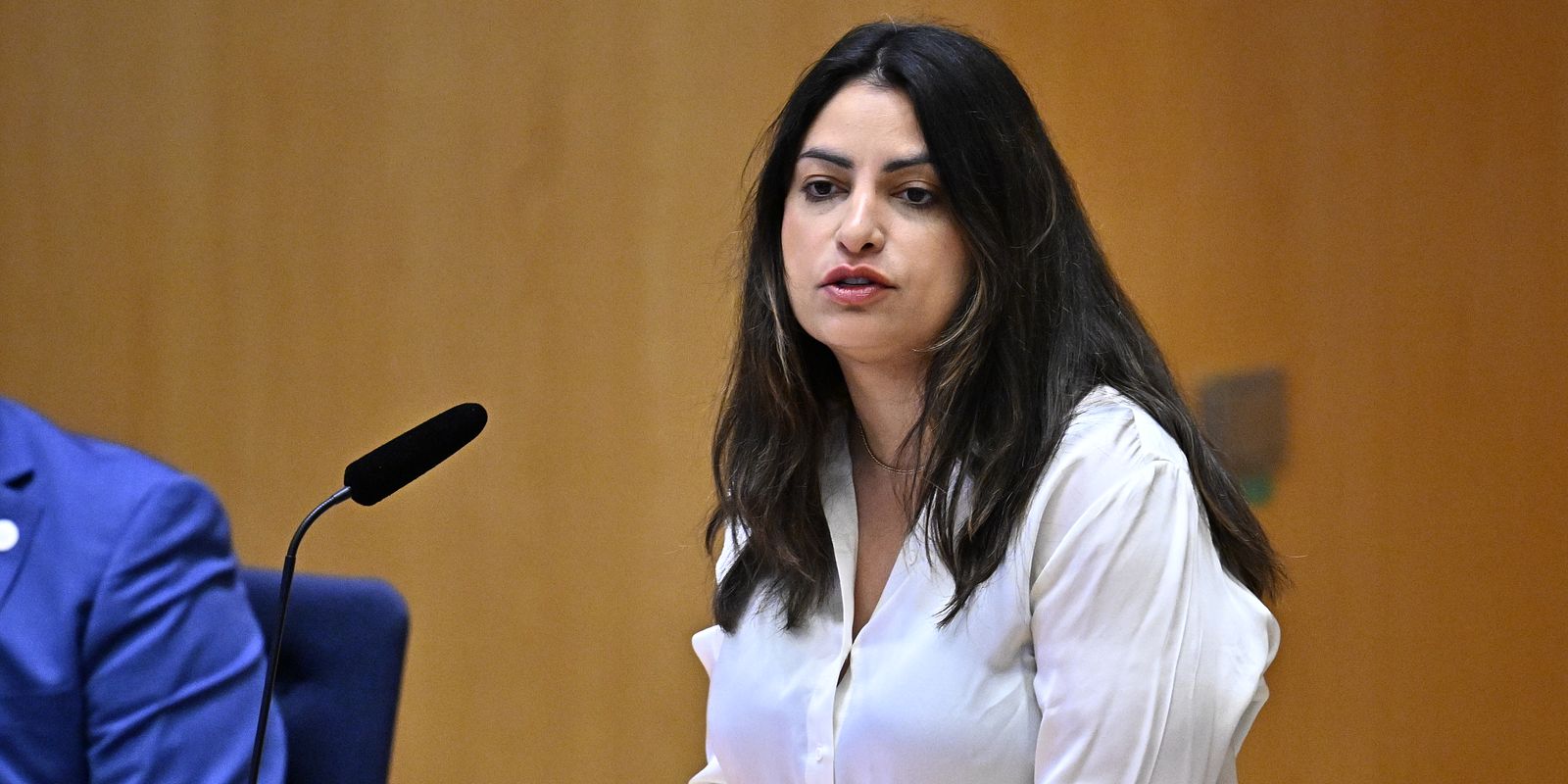 Åkessons attack mot V: "Genomsyrat av extremister"