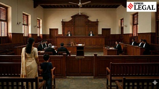 Unauthorised lawyer scares 6-year-old boy in midst of custody battle ...