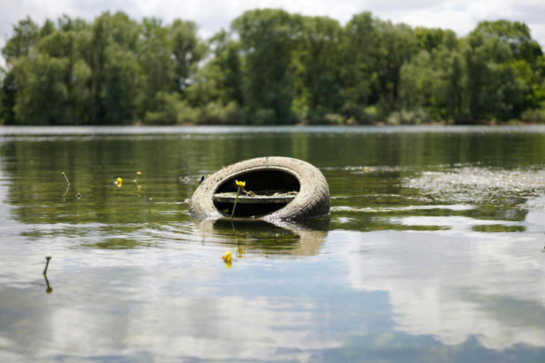 Plus de 500 infractions à la protection de la nature relevées en mai (OFB)