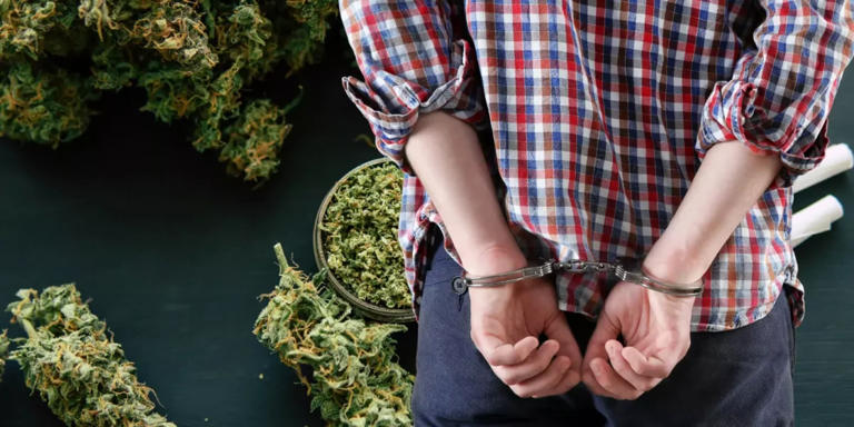Drogenfund auf Kajütboot: Cannabis und Spritze sichergestellt