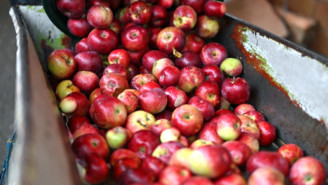 Cozy apple snacks to warm your fall days