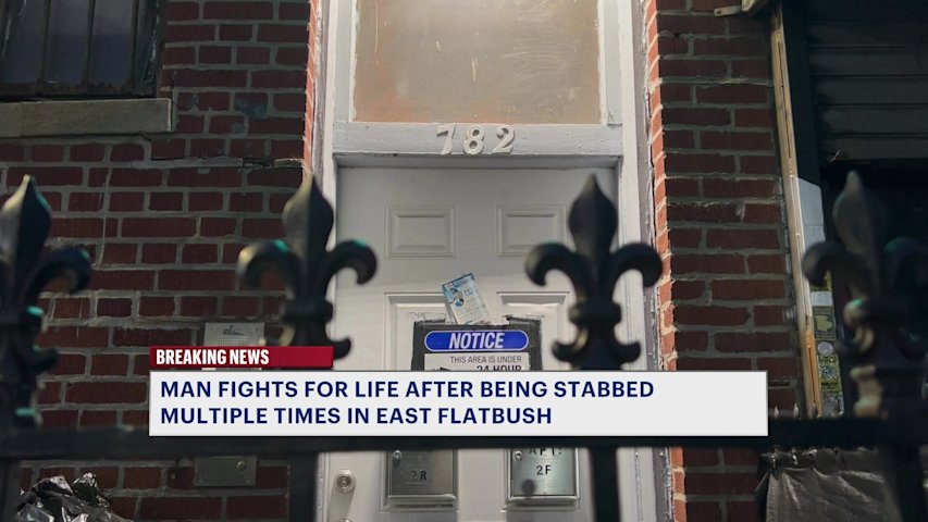 Man fighting for his life after stabbing inside Albany Avenue building