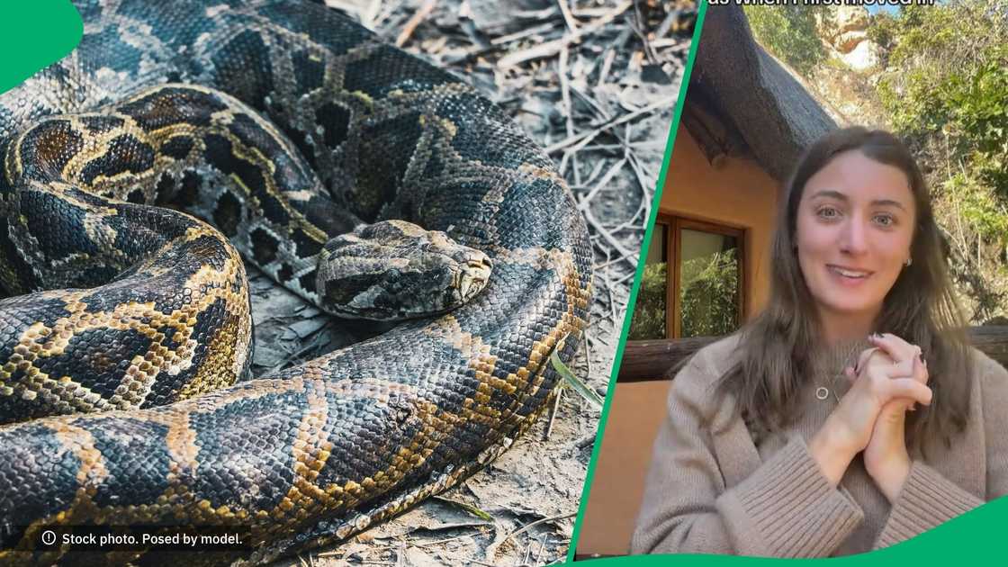 American former Wall Street banker rants about new snake infested home ...