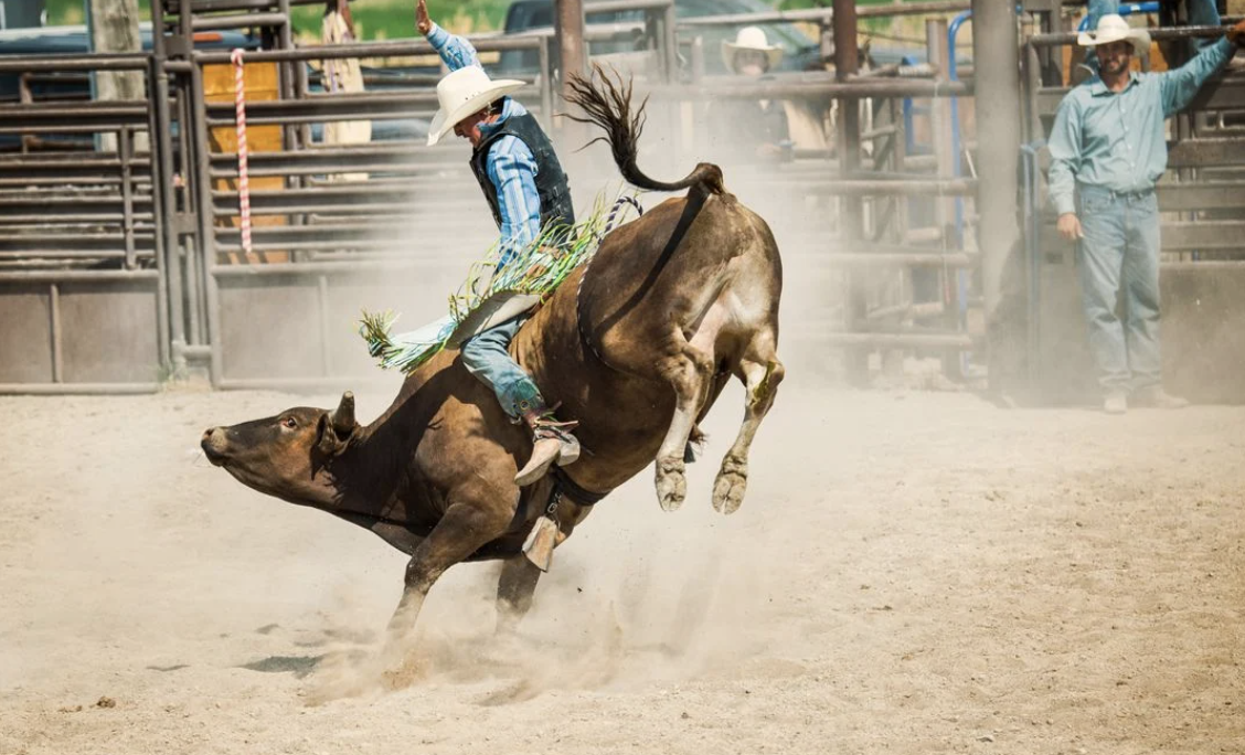 Proposed LA rodeo ban sparks clash over ICE, culture and animal welfare