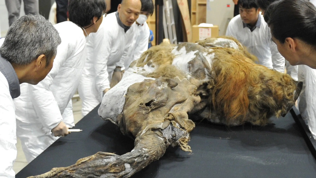 12 astonishing discoveries preserved in ice