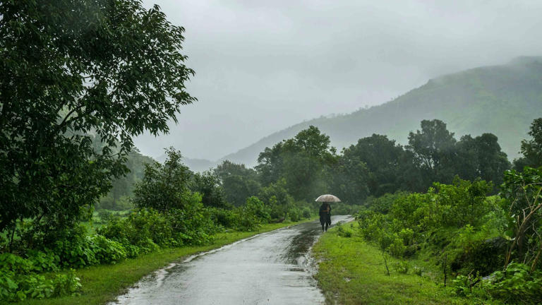 Planning a trip? Indian Meteorological Department flags heavy rain in ...