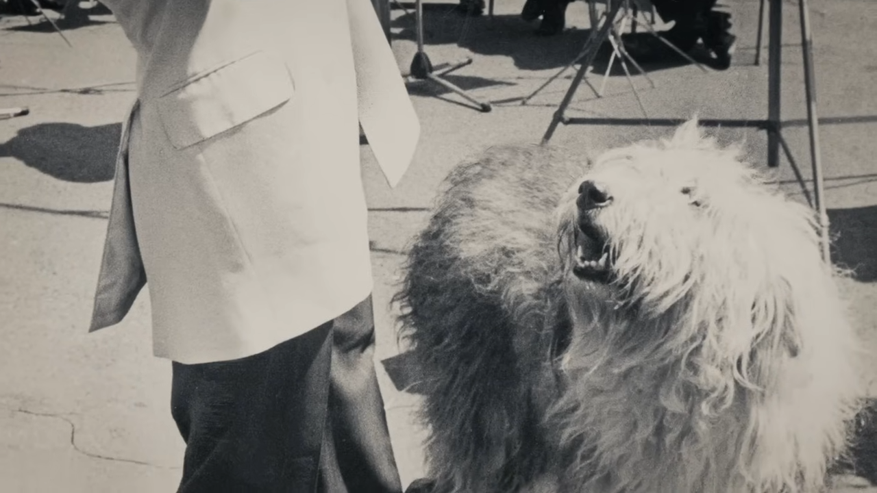 Dogs keep showing up in music history - and it's not an accident