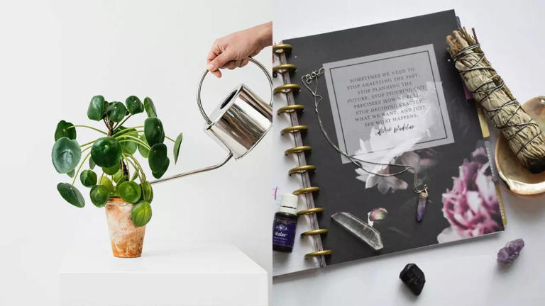 Where to place a money plant for prosperity