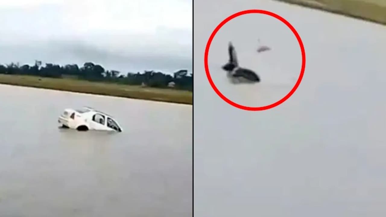 Viral video | Photo op turns costly as tourists watch car sink in ...