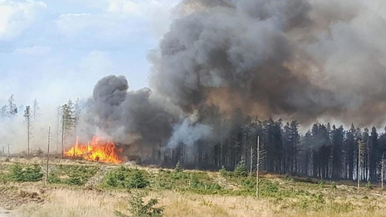 Wildfire-damaged moorland to get £3m repair fund