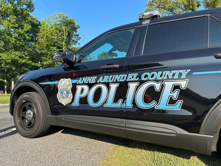 2 arrested after traffic stop uncovers drugs, gun: Police