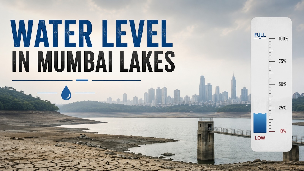 Water level in Mumbai lakes drops to 12.5% as island city's wait for ...