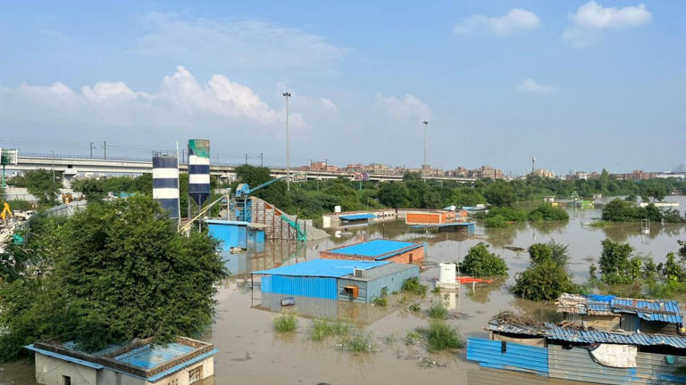What is Delhi’s O-Zone? A 9,700-hectare floodplain home to 91 ...