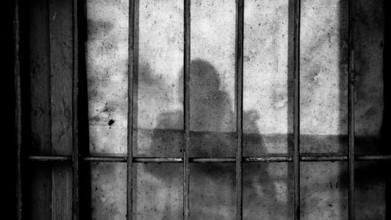 Dogs used in rape of Palestinians in Israeli prisons, 'followed ...