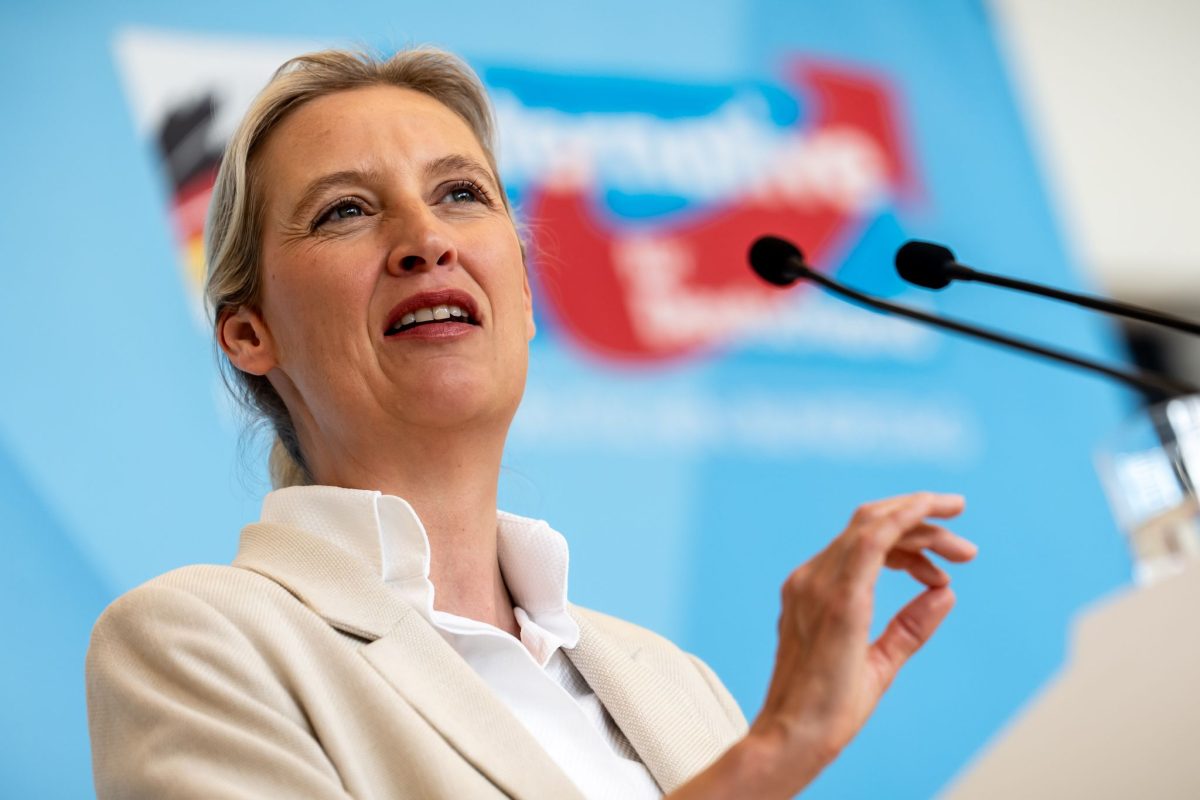 Bis zu 35 Prozent sind bundesweit drin! AfD-Potenzial enorm angestiegen