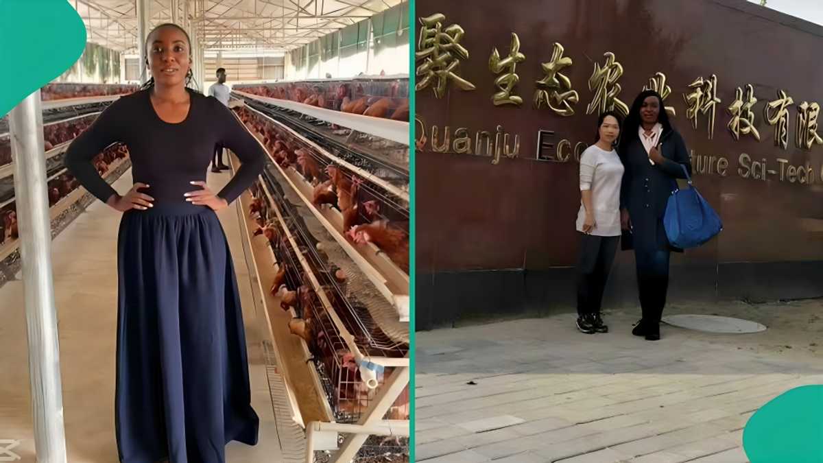 Read how Chinese man reacted after Nigerian lady told him about Nigeria ...