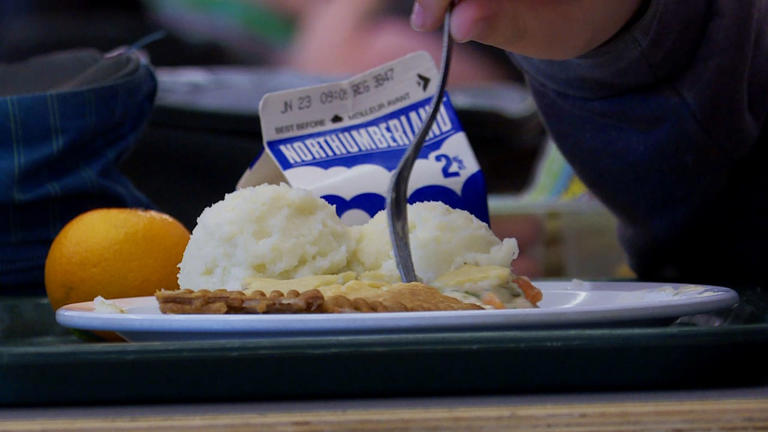 NB.'s community-run school lunch programs may look different in the ...