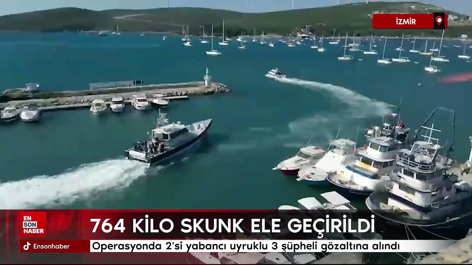 İzmir'de dev uyuşturucu operasyonu: 764 kilo skunk ele geçirildi