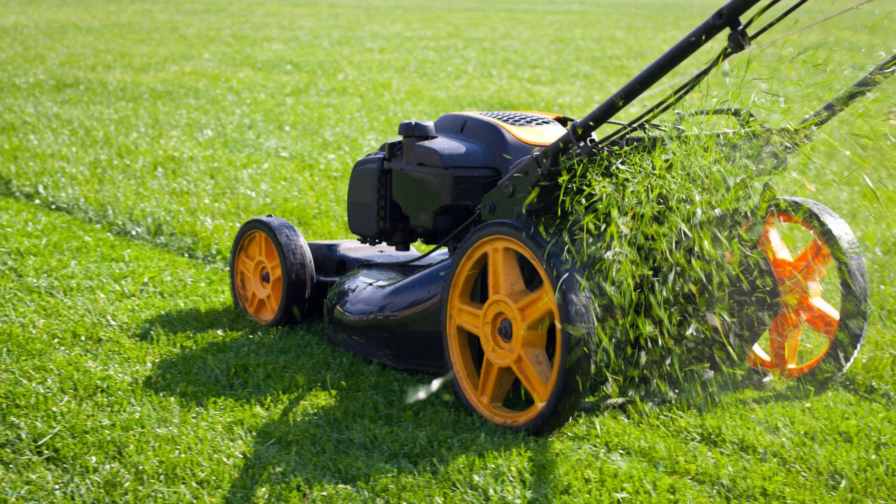 How to sharpen a lawn mower blade in 5 simple steps (and save your grass)