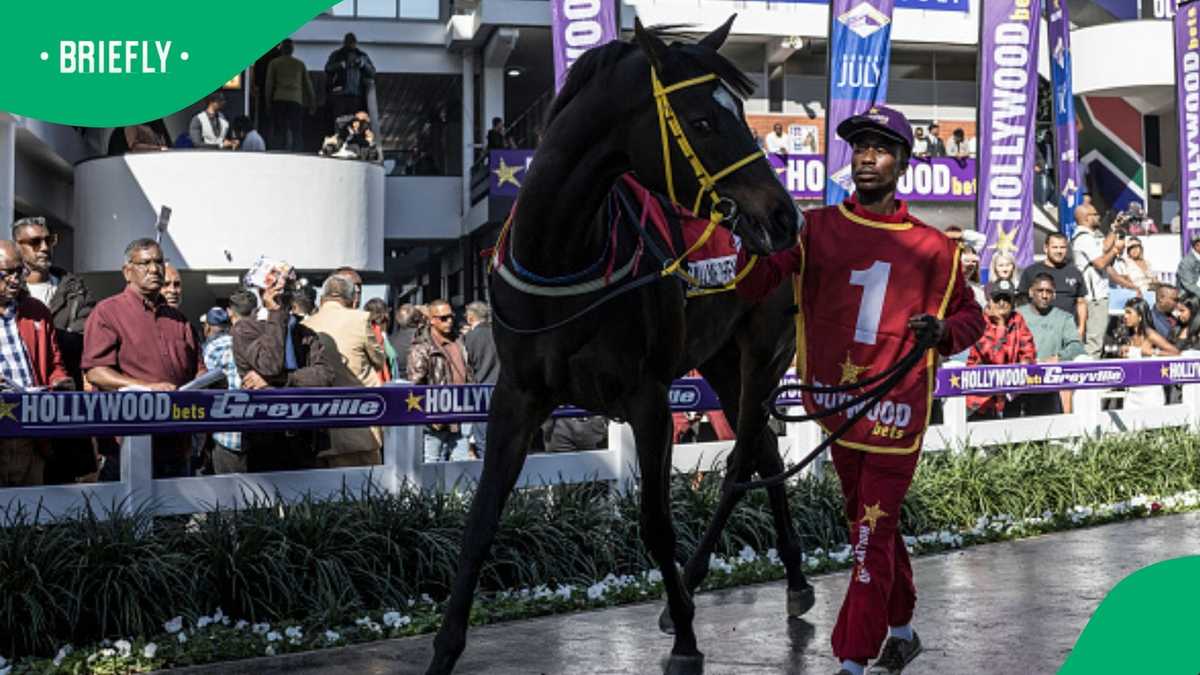 South African horse racing corruption scandal after jockeys found guilty