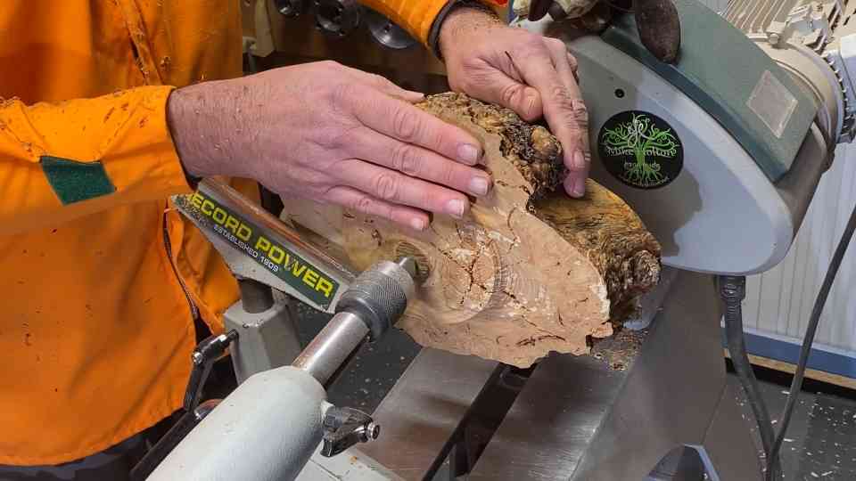 A monster burl reveals its hidden pattern