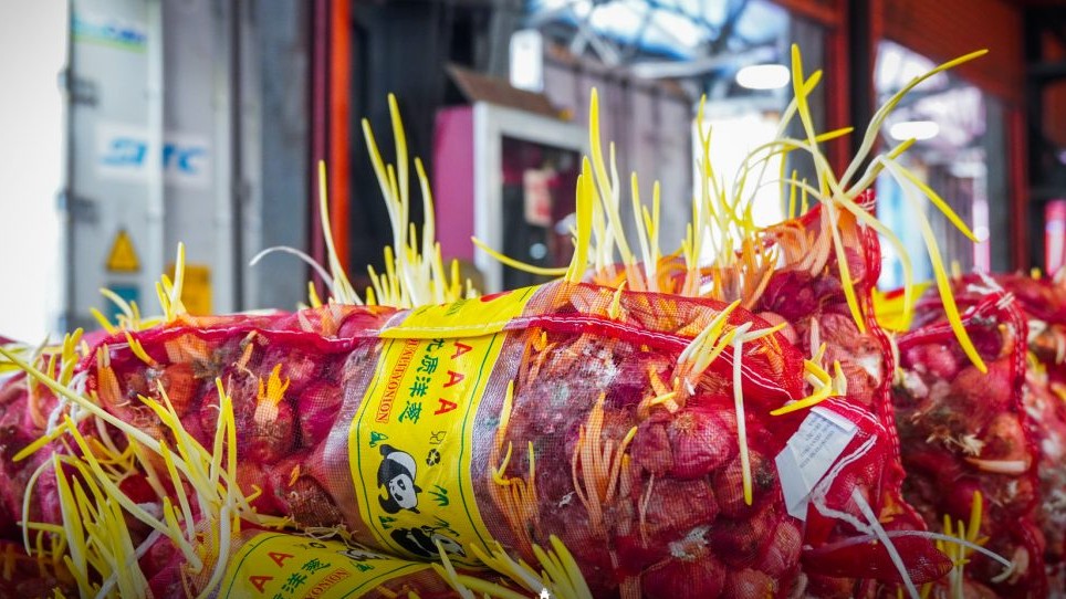 Customs finds P86.7-M abandoned onion shipment from China