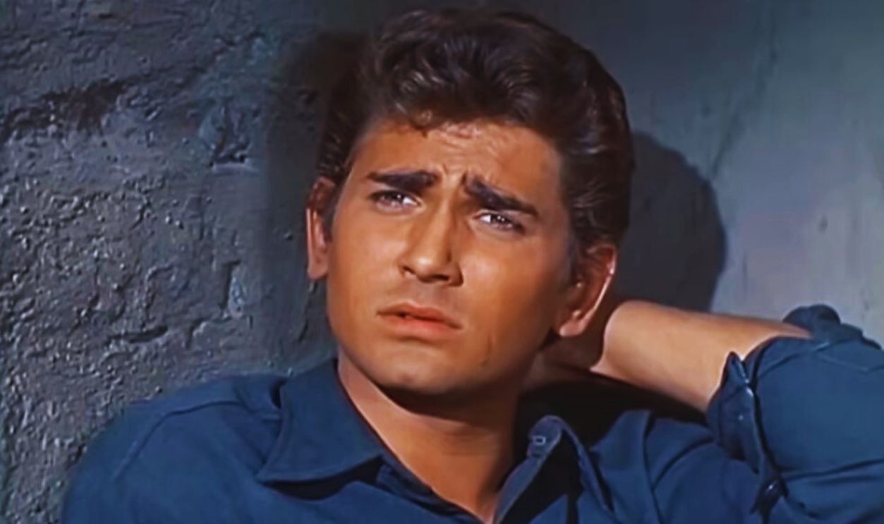 Between Bonanza and Little House on the Prairie, Michael Landon was a ...