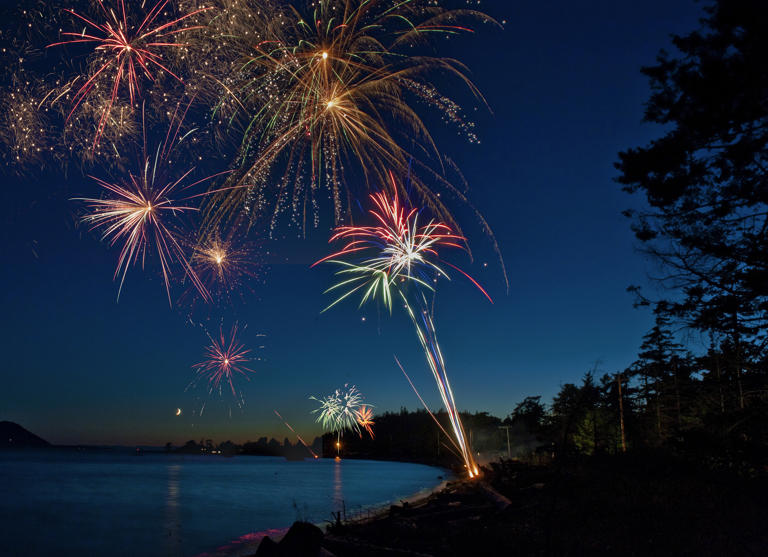 My pet world: Helping pets feel safe during fireworks – and age-related ...