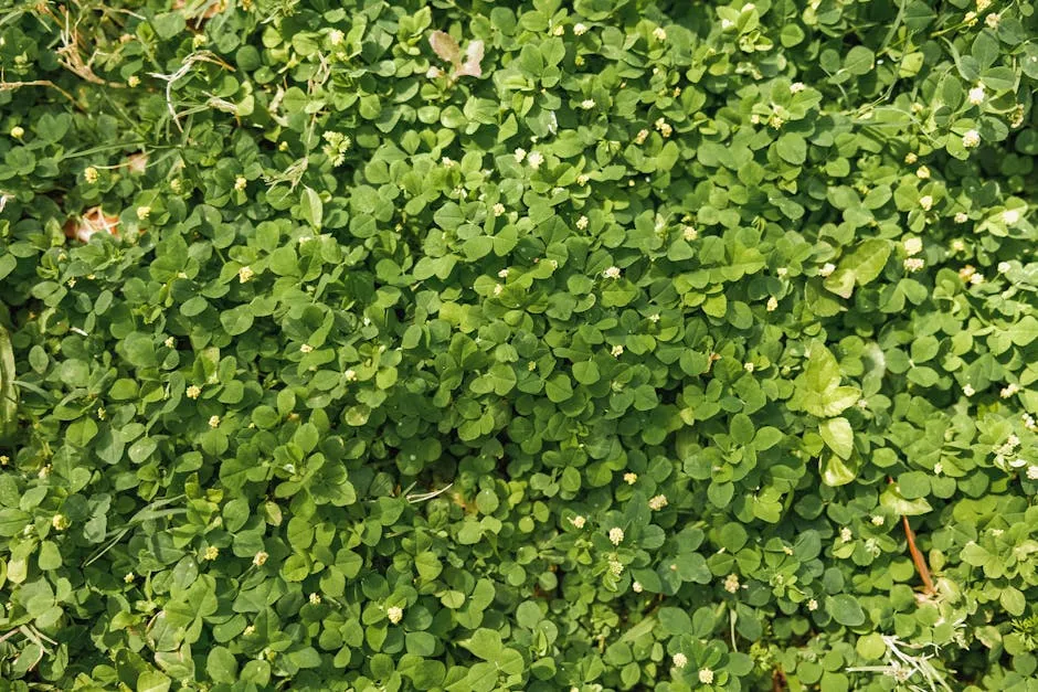 The Plant Gardening Experts Are Replacing Their Lawn With To Benefit ...