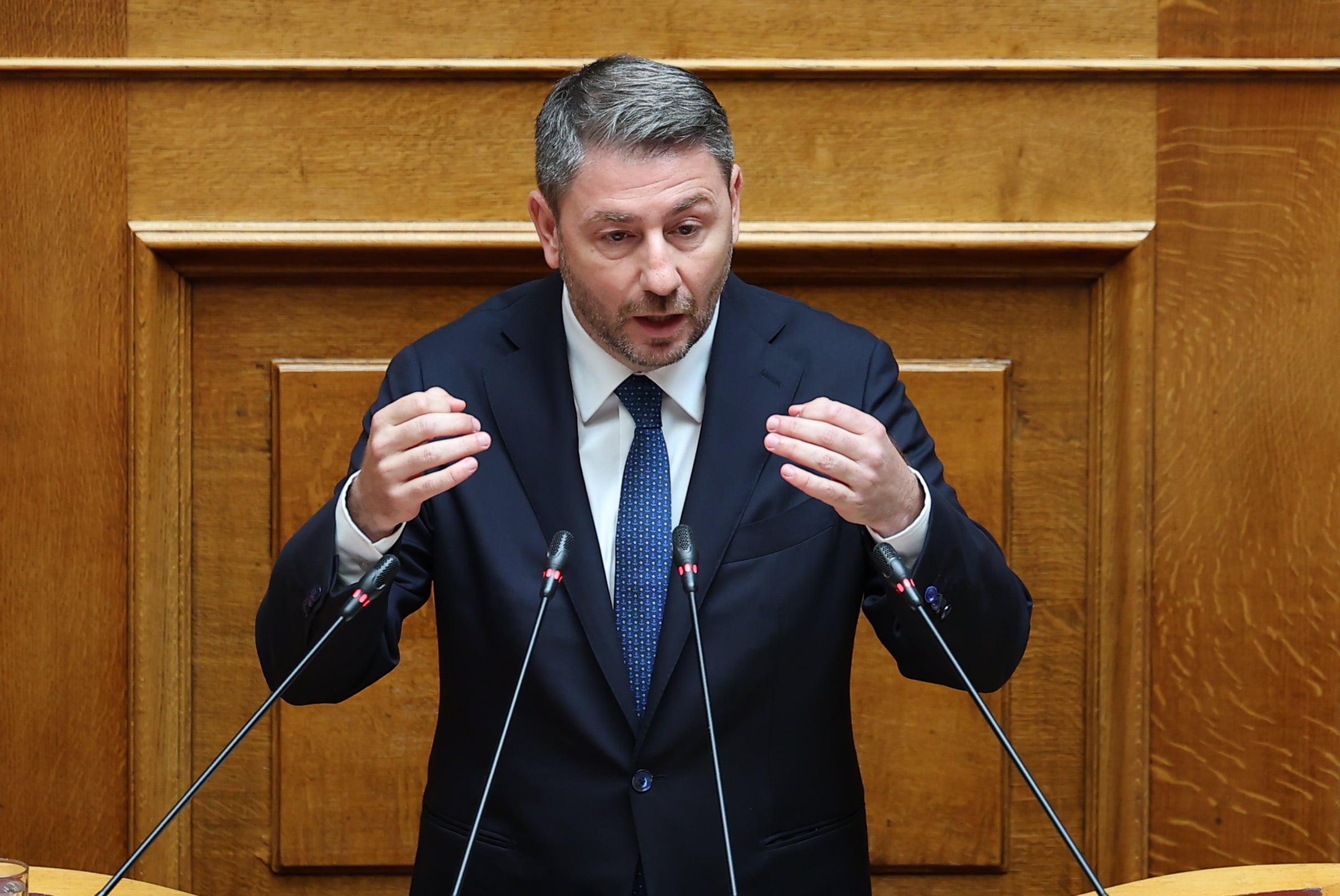 Βουλή – Ανδρουλάκης: Η συνταγματική αναθεώρηση χρειάζεται υπευθυνότητα ...