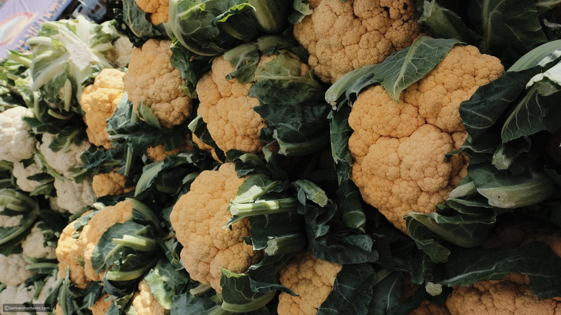 5 vegetables with different nutritional profiles and 5 alternatives to ...