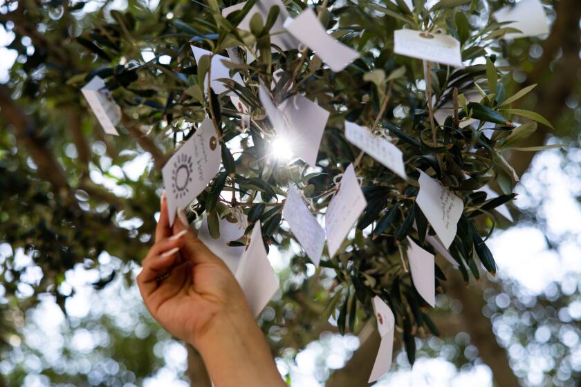 500 LA wishes a day: Behind the massive 'harvest' at Yoko Ono's 'Wish ...
