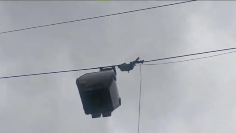 Gulmarg gondola incident: J&K govt forms 5-member committee for probe