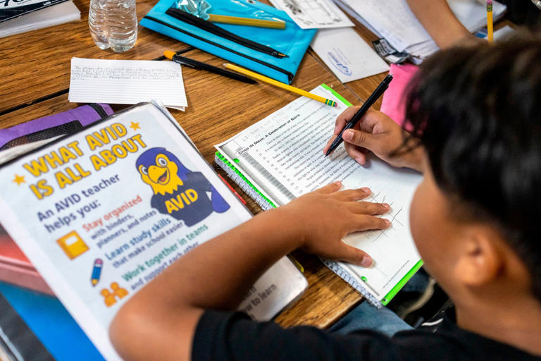 Teens' reading and math scores have stagnated, US test results show