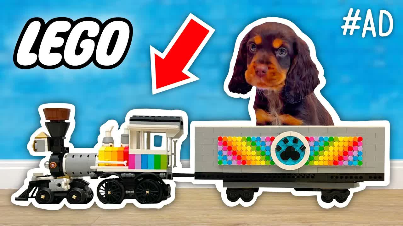 A puppy takes the cutest ride on a LEGO train