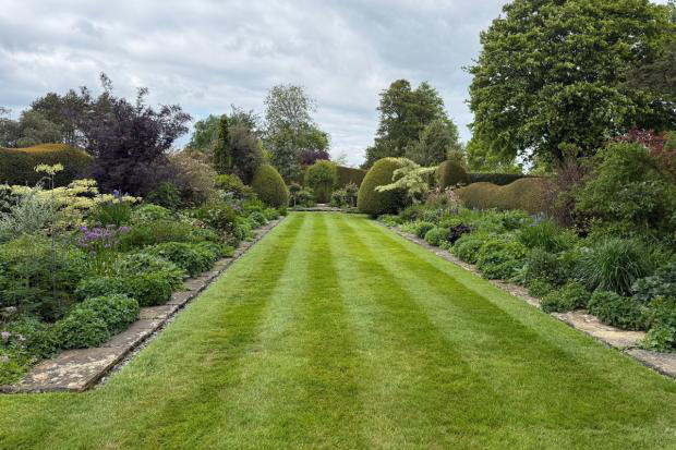 Charity to mark 50th anniversary with series of open garden events