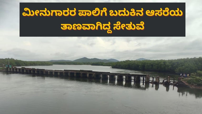 Karnataka: Historic 60-year-old Kadawada bridge collapses; hundreds of ...