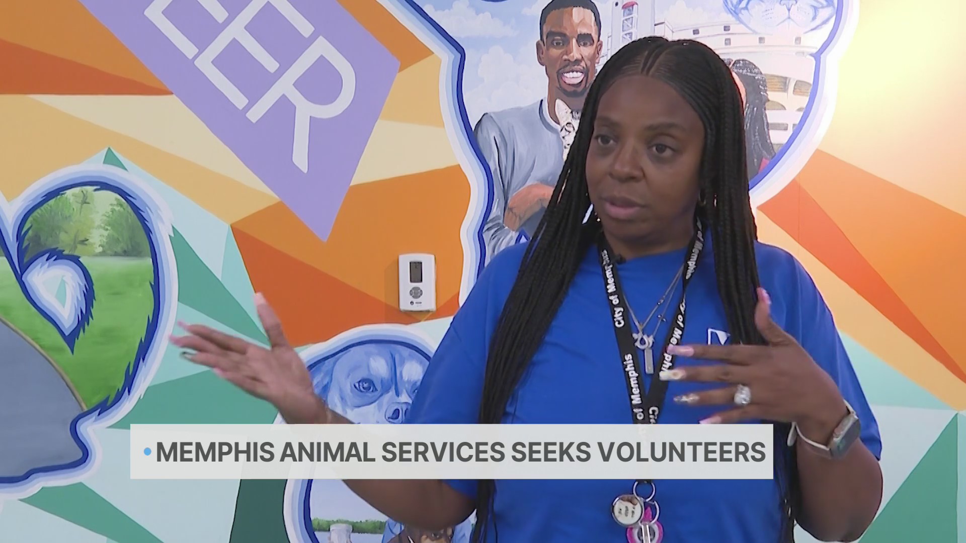 Memphis Animal Services seeks volunteers for 7,000 animals
