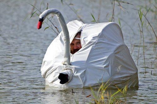 A collection of nature documentary memes featuring the behind-the ...