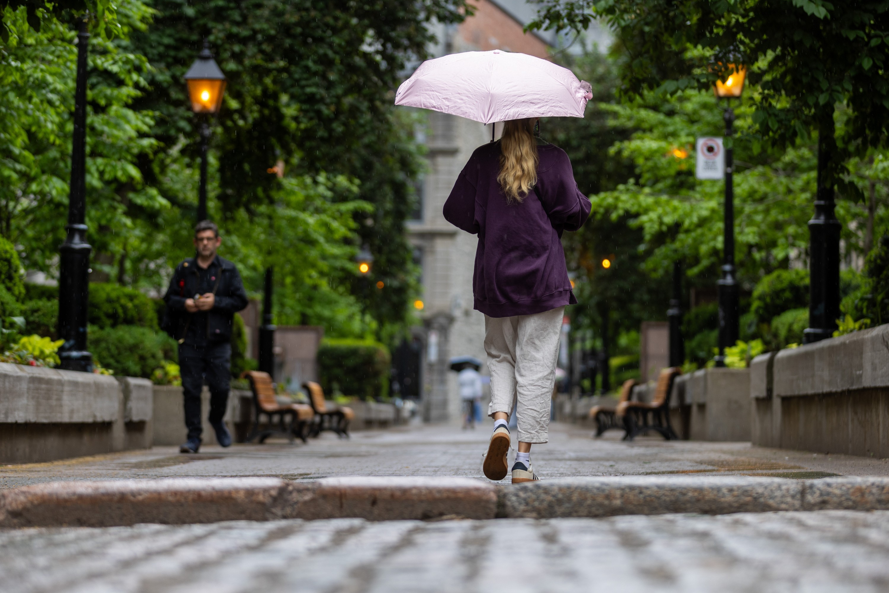 Montreal weather: A thunderstorm is brewing in high humidity