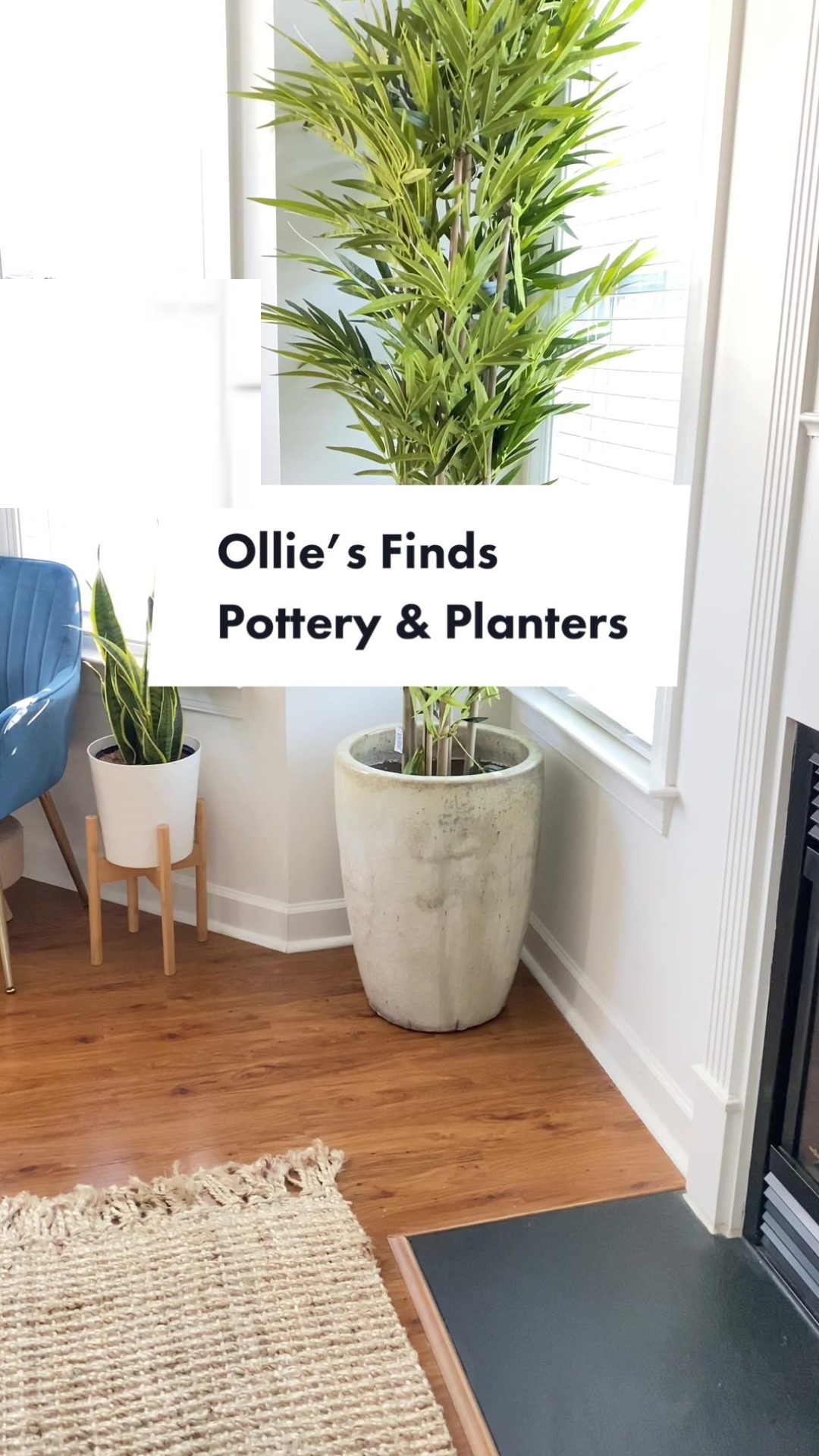 How Ollie’s pots can transform your indoor garden