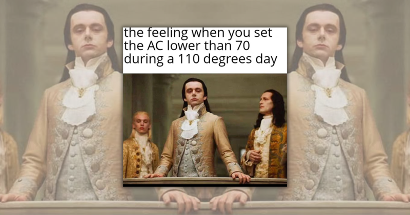22 successful people memes that might just bring a little luck and ...