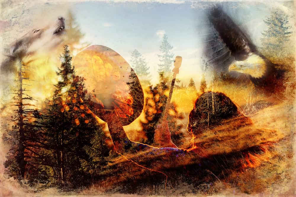 You often see these 9 animals – they bring a spiritual message to you