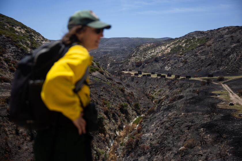 Wildfire almost destroyed a pristine California island. Inside the ...