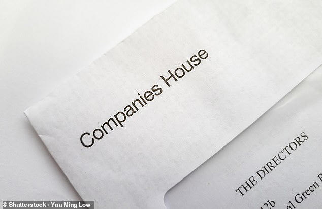 Small businesses slam plans to force them to file profit and loss accounts
