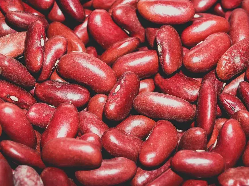 9 vegetables most people have no idea should never be eaten raw