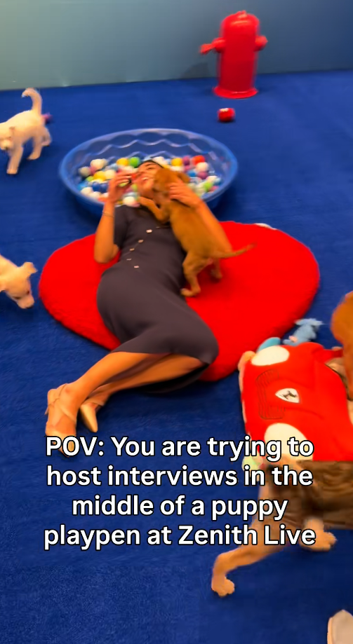 Hosting interviews amid a puppy playpen