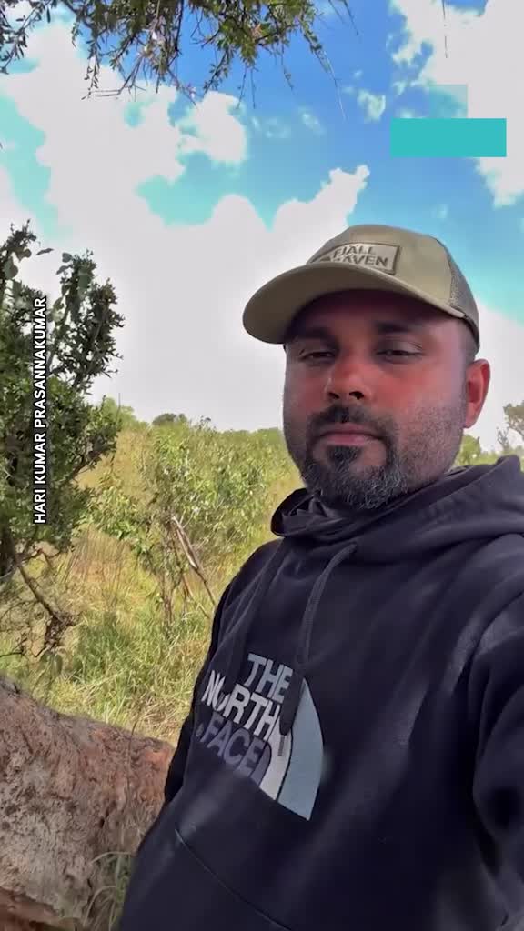 Elusive black leopard stuns wildlife photographer in Kenya
